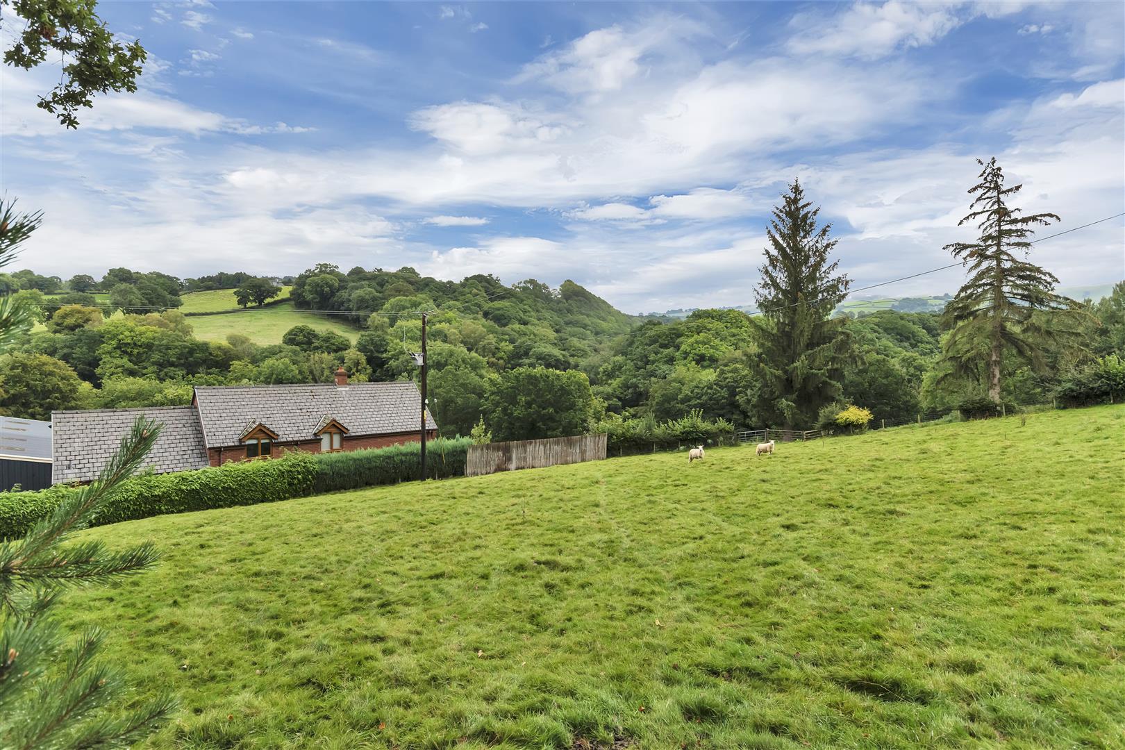 Sunnybank,, Newtown, SY16 4JN | Estate Agents & Auctioneers